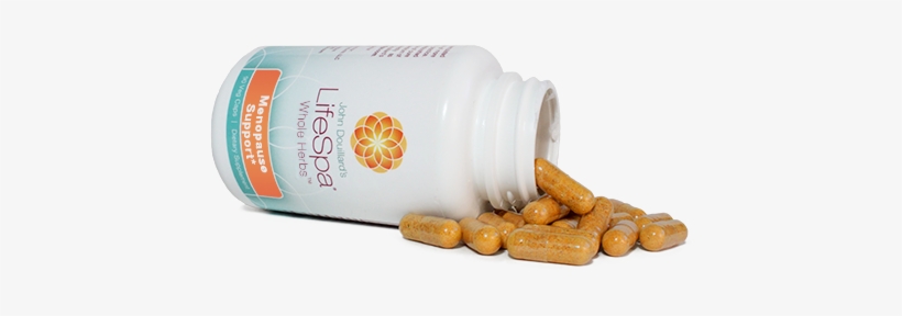 Lifespa - Lifespa Organics Certified Organic Bacopa - Memory - Free ...