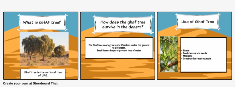 Ghaf Tree Aniket Cr Grade 1 F - Cartoon - Free Transparent PNG Download ...