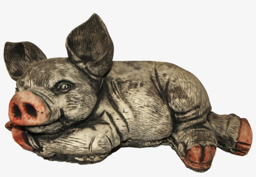 Ear Up Pig - Free Transparent PNG Download - PNGkey