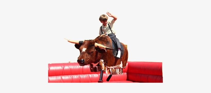 Mechanical Bull Rental - Bull - Free Transparent PNG Download - PNGkey
