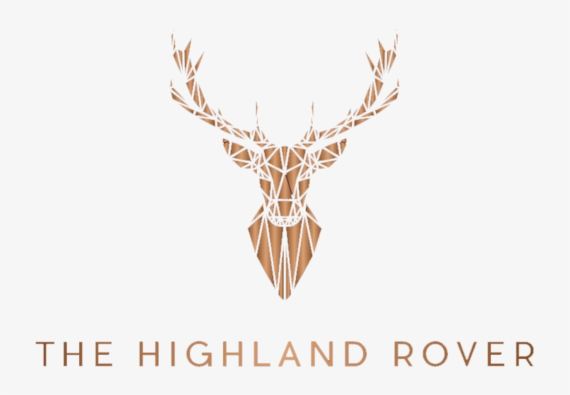 Deer Design - Free Transparent PNG Download - PNGkey