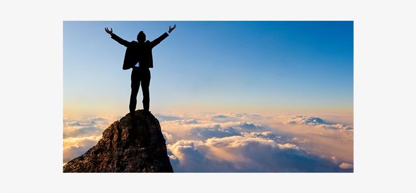 Freedom Framework: The Business Owner's Guide - Free Transparent PNG ...