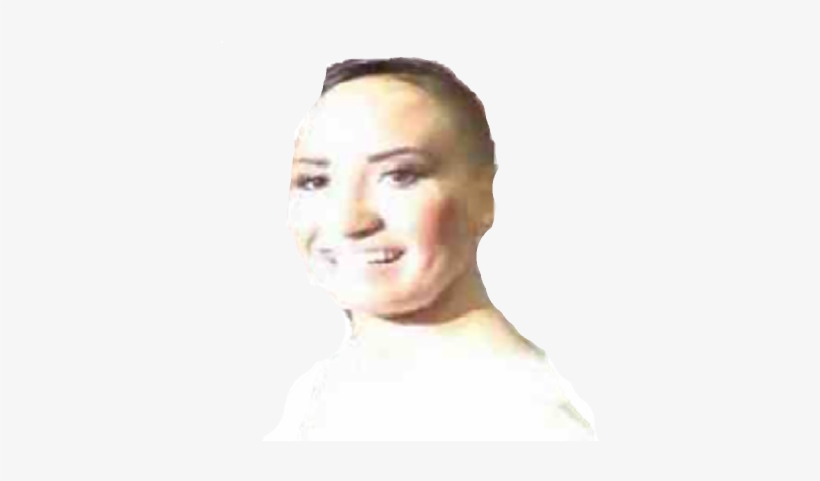 Support Poot Lovato - Poot Lovato Png - Free Transparent PNG Download ...