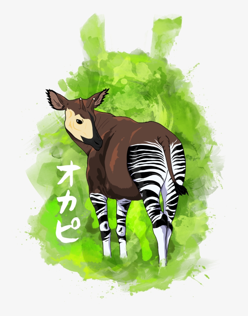 Okapi Illustration - Free Transparent PNG Download - PNGkey