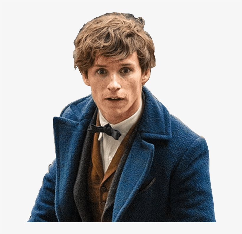 Newt Scamander
