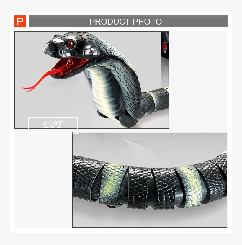 New Funny R/c Plastic Animal Snake Set Toy With Battery - Snakes - Free ...
