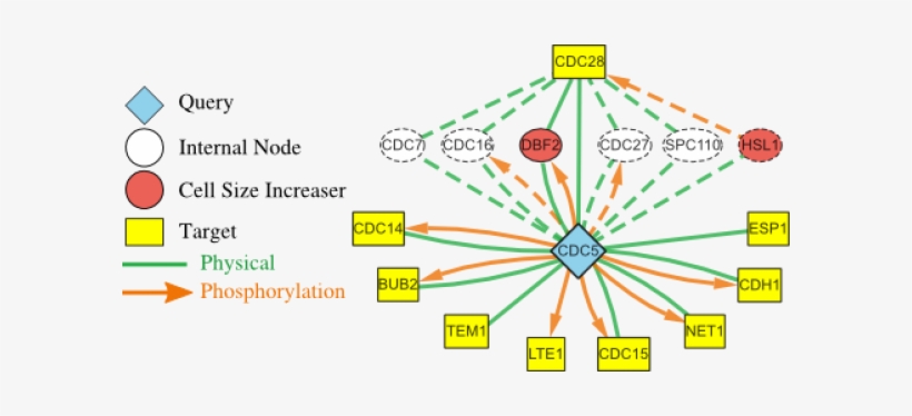 Connecting Top Down And Bottom Up Models Of Systems - Network Bottom Up ...