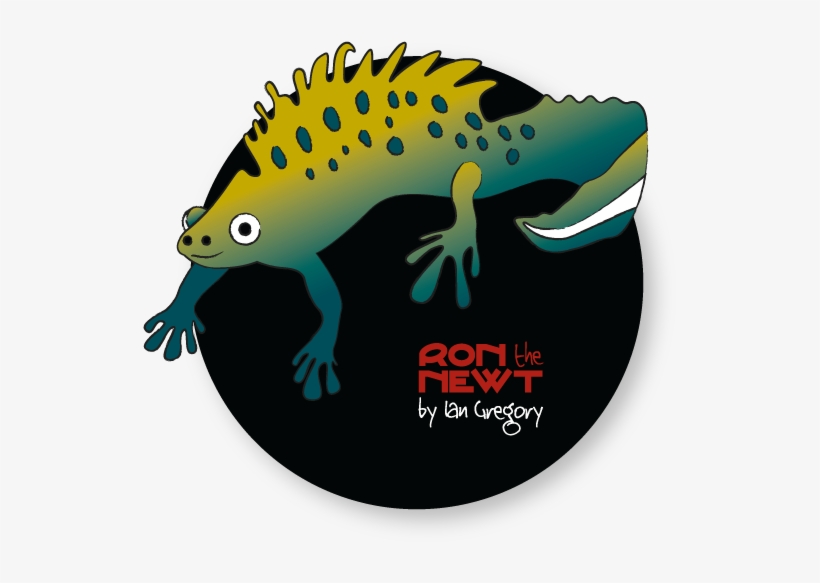 ~ Ron The Newt - Lizard - Free Transparent PNG Download - PNGkey