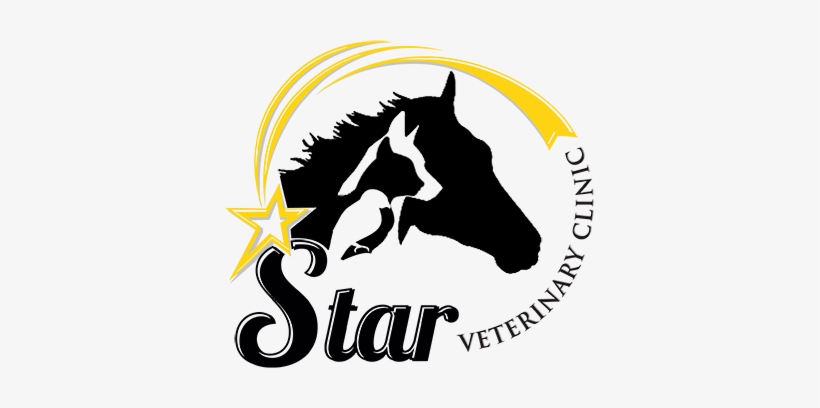 Star Vet - Star Vet Clinic - Free Transparent PNG Download - PNGkey