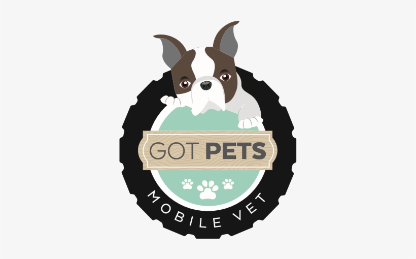 Got Pets Mobile Vet - Free Transparent PNG Download - PNGkey