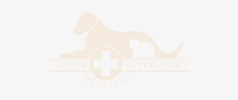 Exeter Veterinary Hospital - Free Transparent PNG Download - PNGkey