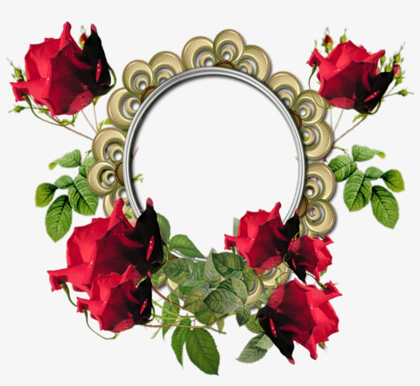 Oval Pink Borders - Free Transparent PNG Download - PNGkey