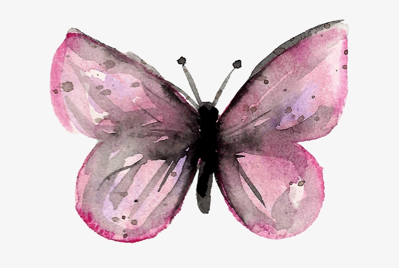 Wall Decal - Free Transparent PNG Download - PNGkey