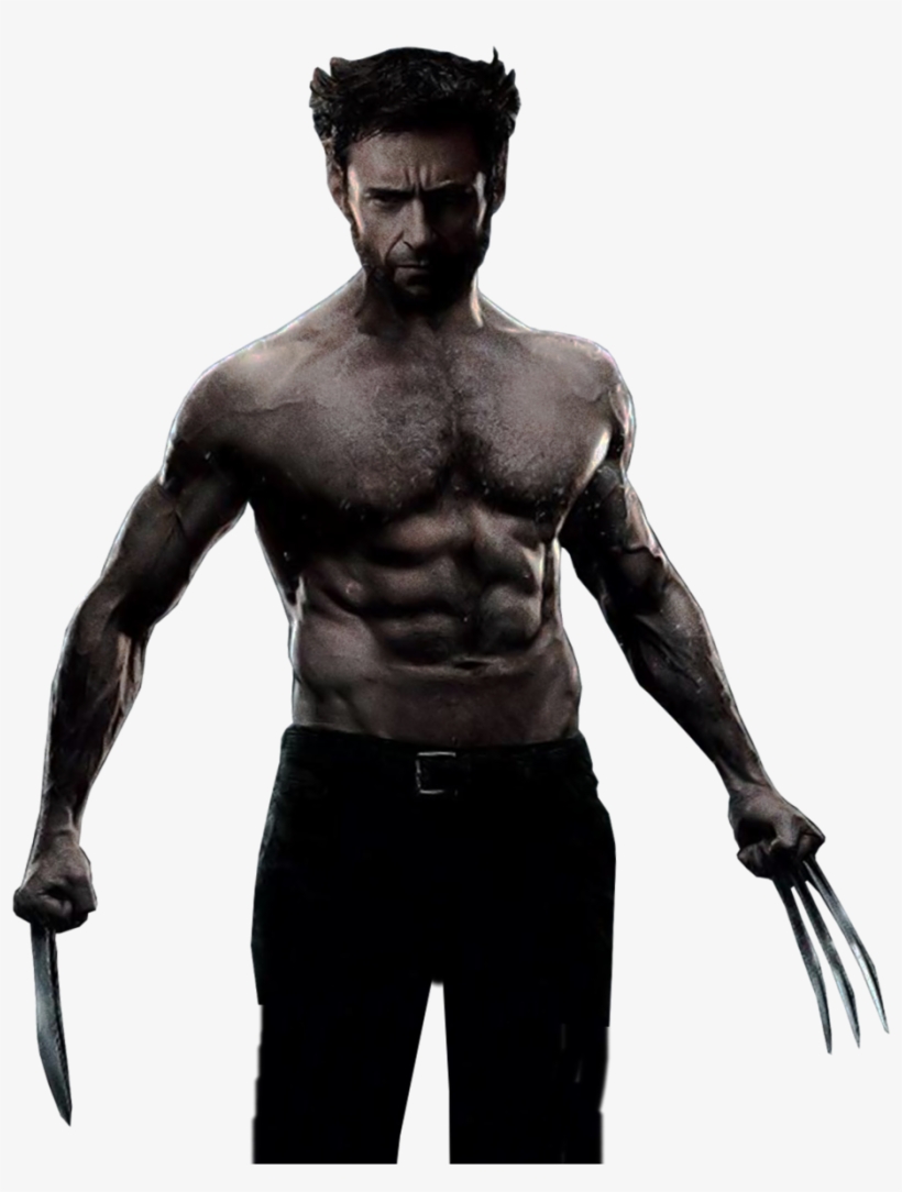 Wolverine Png Image - X Men Wolverine Transparent - Free Transparent ...