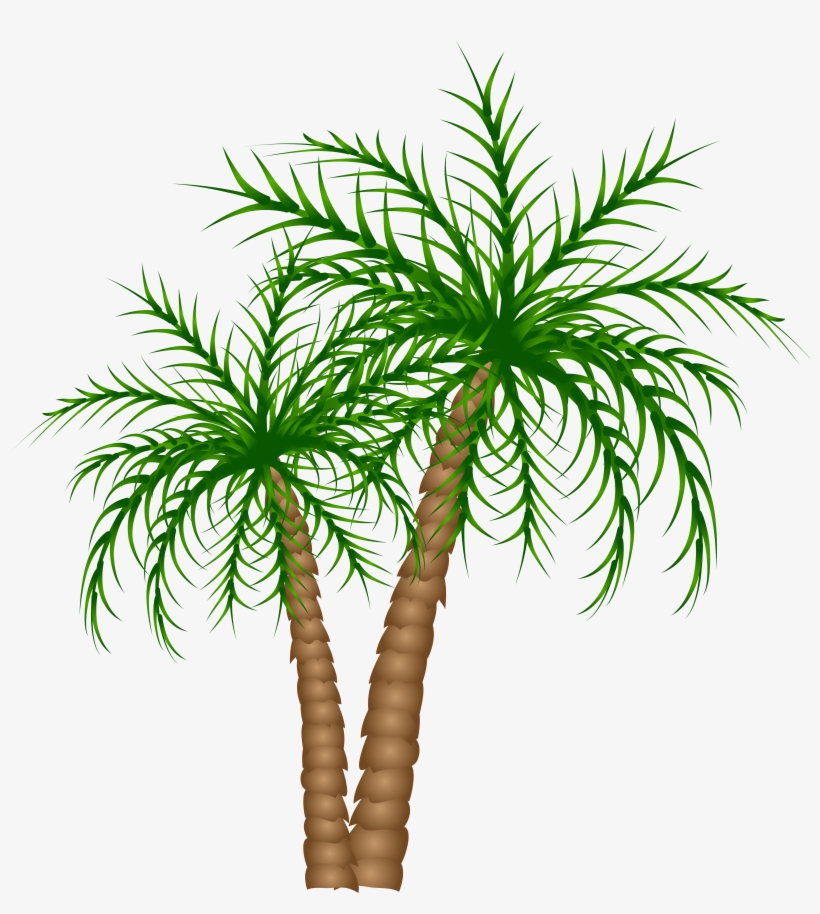 Date Tree Clipart Png - Free Transparent PNG Download - PNGkey