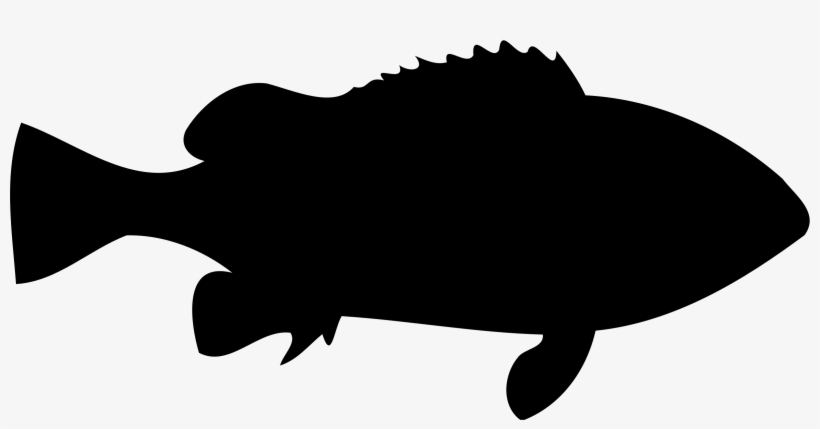 Clip Art Transparent Stock Eastern Wirrah Big Image - Water Bird ...