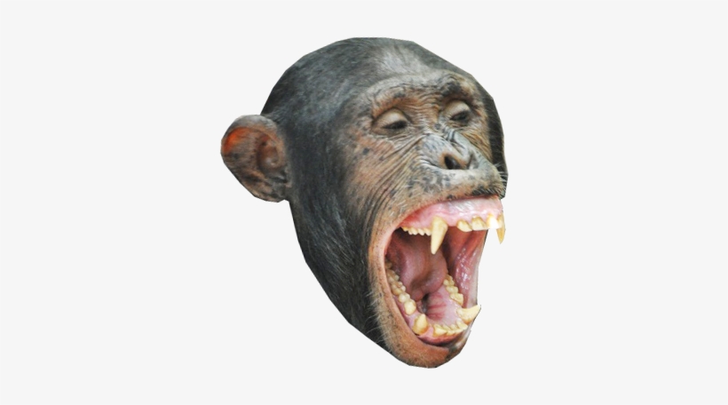 Monkey Head Messages Sticker-2 - Monkey - Free Transparent PNG Download ...