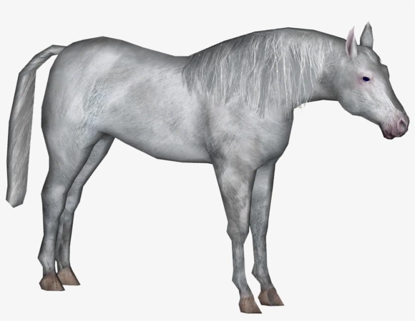 Elven Horse - Wiki - Free Transparent PNG Download - PNGkey