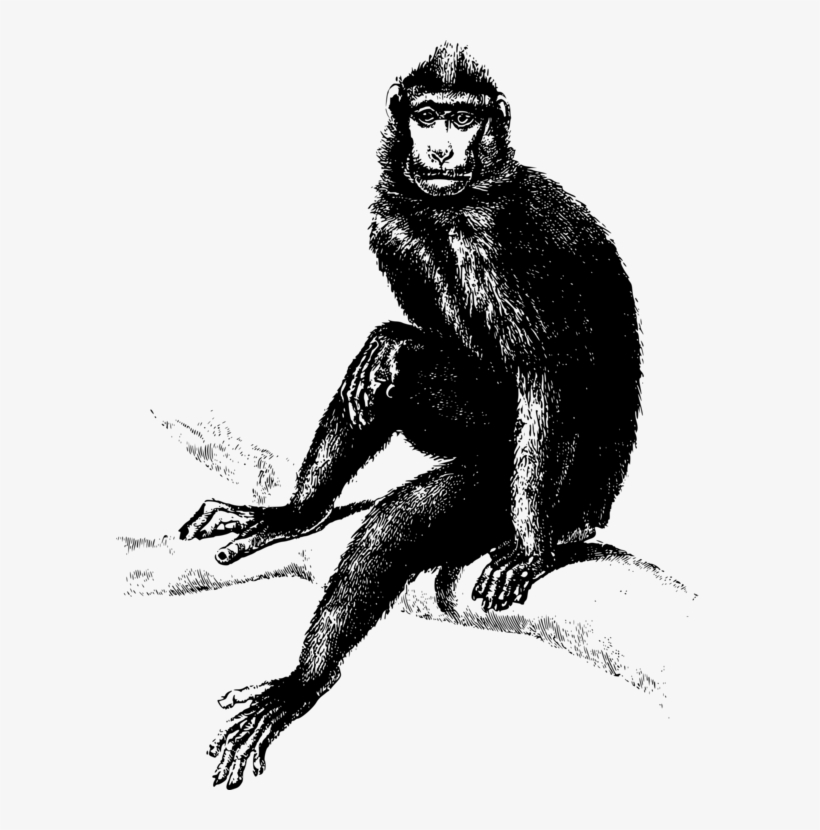 All Photo Png Clipart - Monkey Laugh Vector Black And White - Free ...