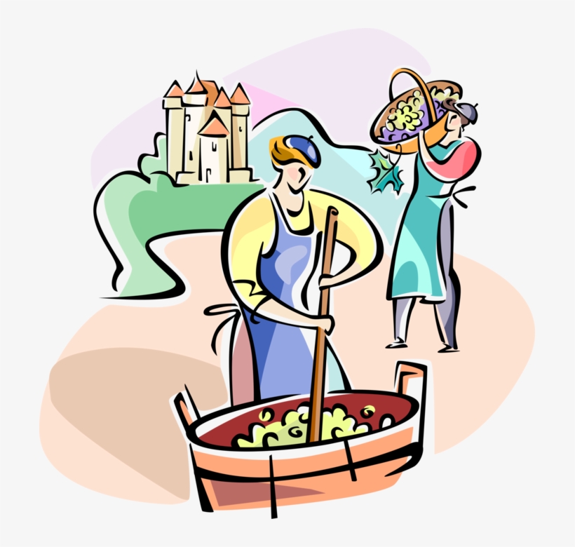 Vector Illustration Of Vineyard Workers Making Wine - Clip Art Food ...