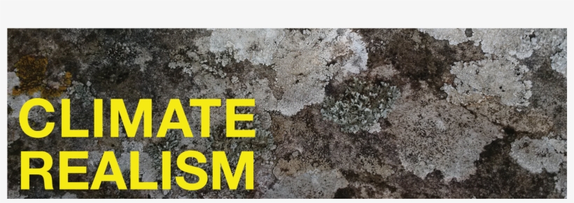 Need Head T Shirt - Free Transparent PNG Download - PNGkey