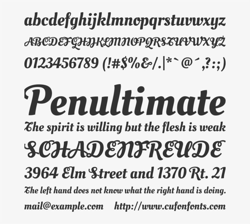 Oleo Script Swash Caps Regular - Canning And Preserving: Over 30 ...