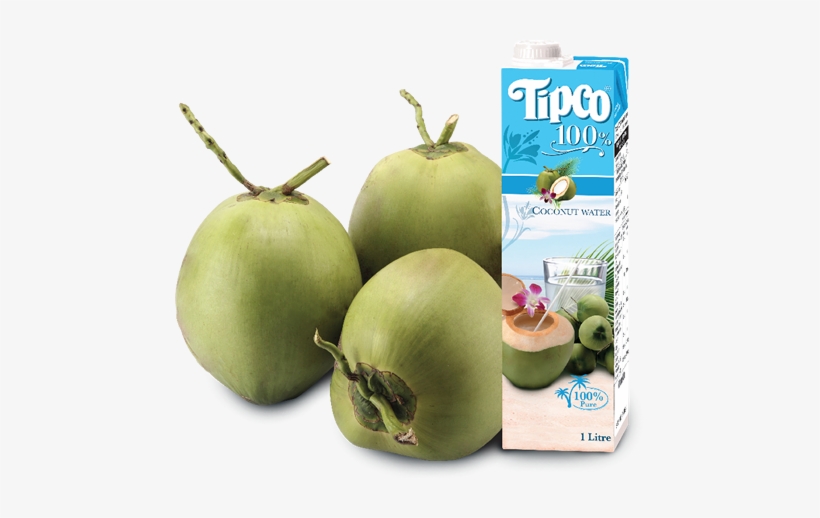 Coconut Water Tipco Coconut Water 1l - Tipco 100% Coconut Water - Free ...