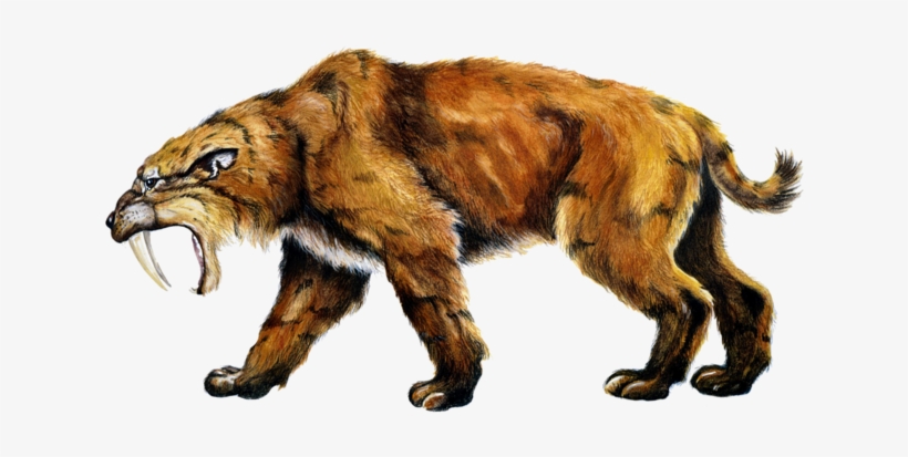 Sabertooth Tiger - Saber Tooth Tiger Png - Free Transparent PNG ...