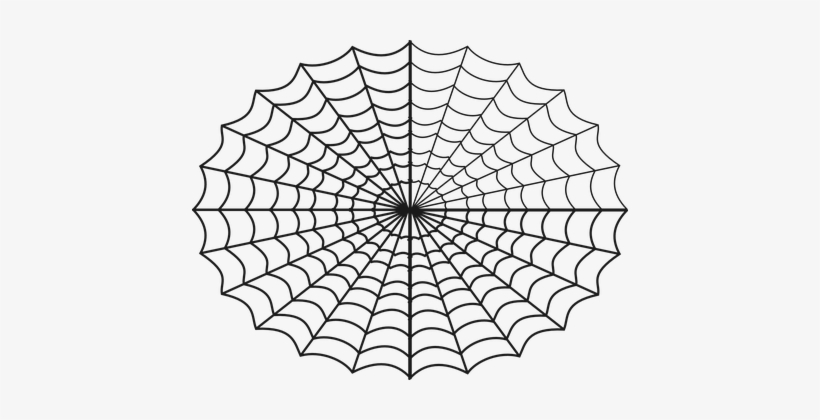 Spider Web Creepy Art Spooky Insect Spider - Polar Coordinate Plane ...