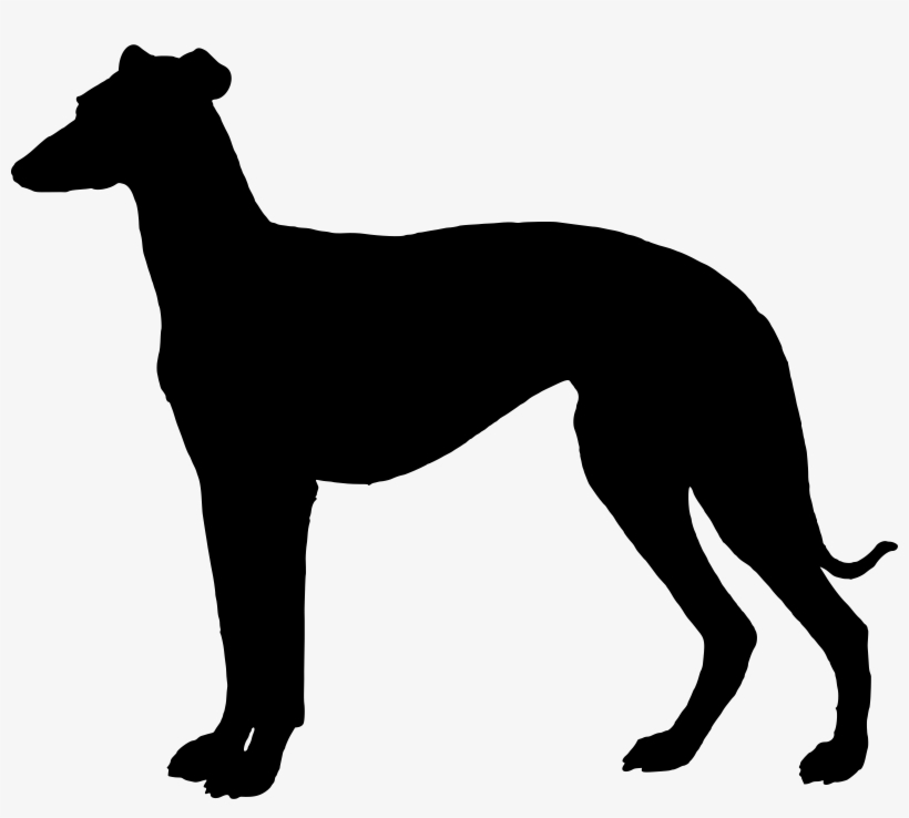 Greyhound Png Library - Greyhound Silhouette - Free Transparent PNG ...