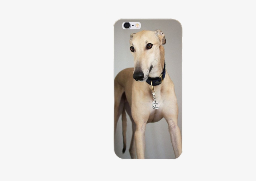 Greyhound Fawn Silicone Iphone Case With Blue Door - Greyhound - Free ...