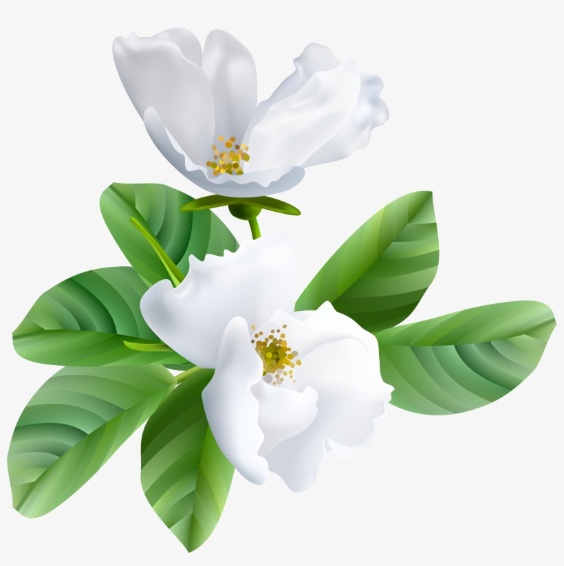 Spring Blooming Transparent Clip Art Image - Clip Art - Free ...