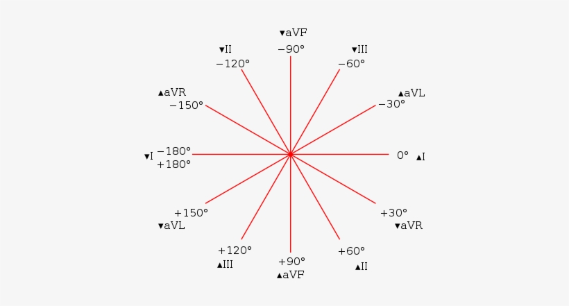 Hex Axial - לידים אקג - Free Transparent PNG Download - PNGkey