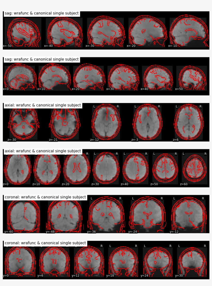 Spm8 231 Kb - Circle - Free Transparent PNG Download - PNGkey