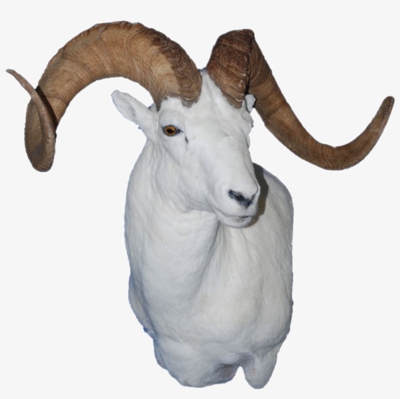 Dall Left Wall - Free Transparent PNG Download - PNGkey