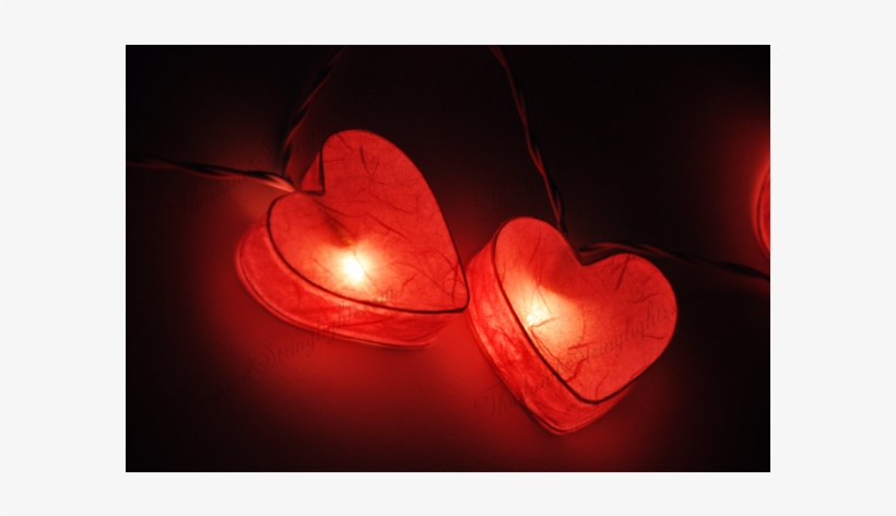 Paper Lantern - Free Transparent PNG Download - PNGkey