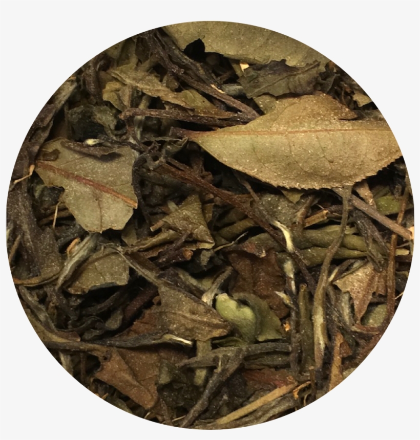 Vanilla Chai Tea - Free Transparent PNG Download - PNGkey