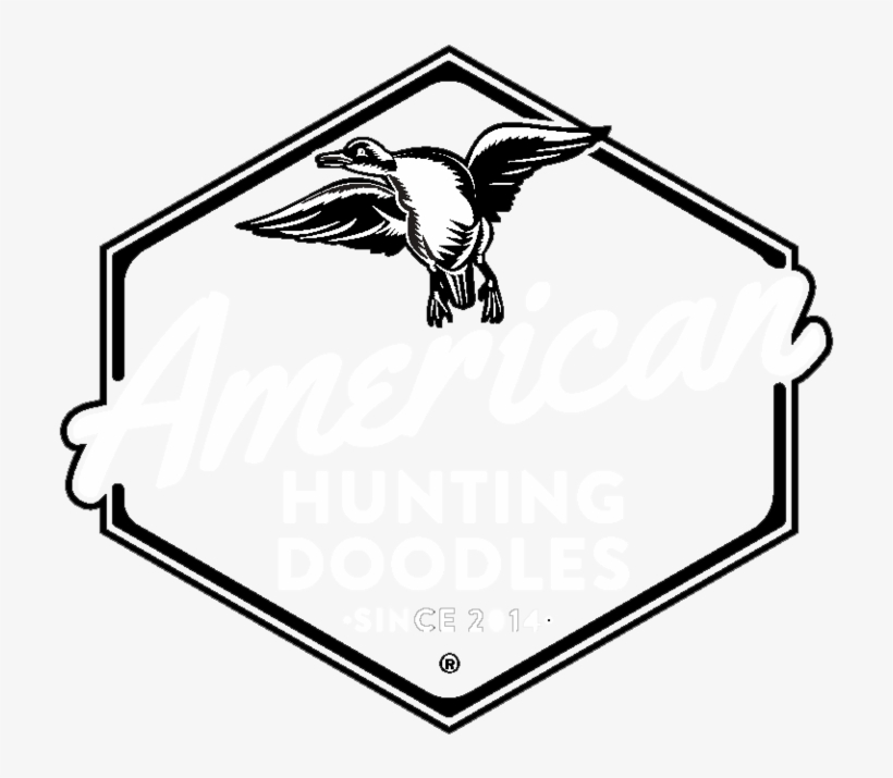 Doodle Lines Png - Free Transparent PNG Download - PNGkey