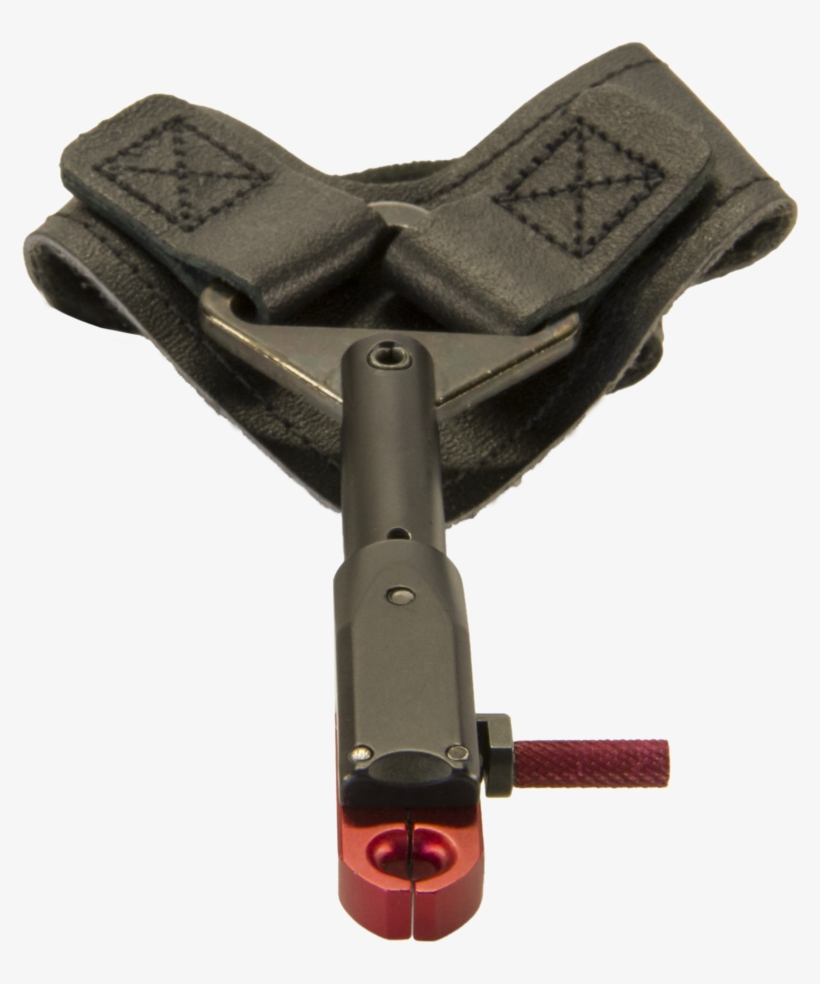 Scott Shark Release - Free Transparent PNG Download - PNGkey