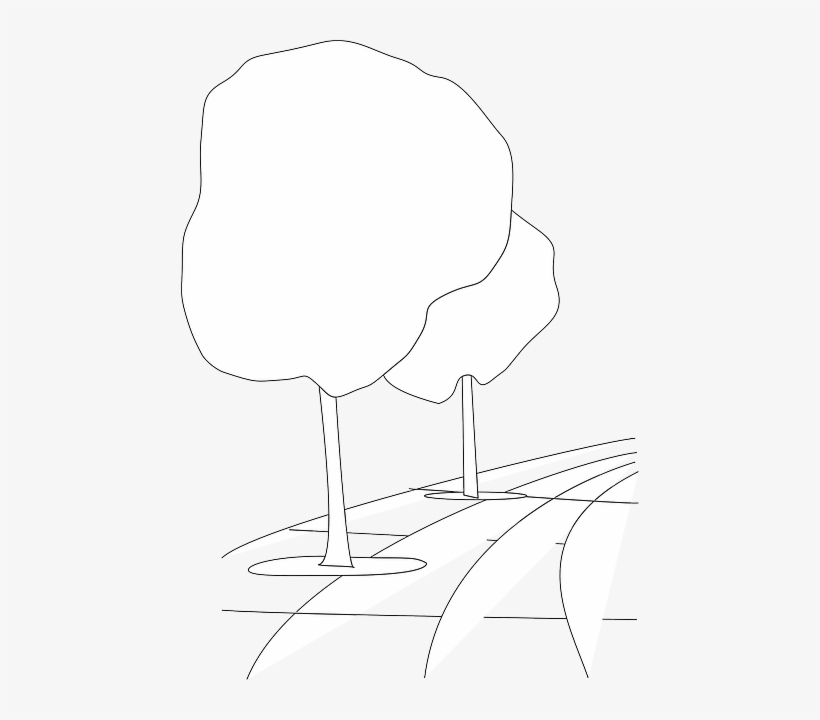 City, Outline, Street, Pavement, Trees, Tree - Street - Free ...