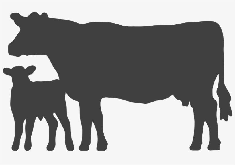 Angus Media - Black Angus Cow Silhouette - Free Transparent PNG ...