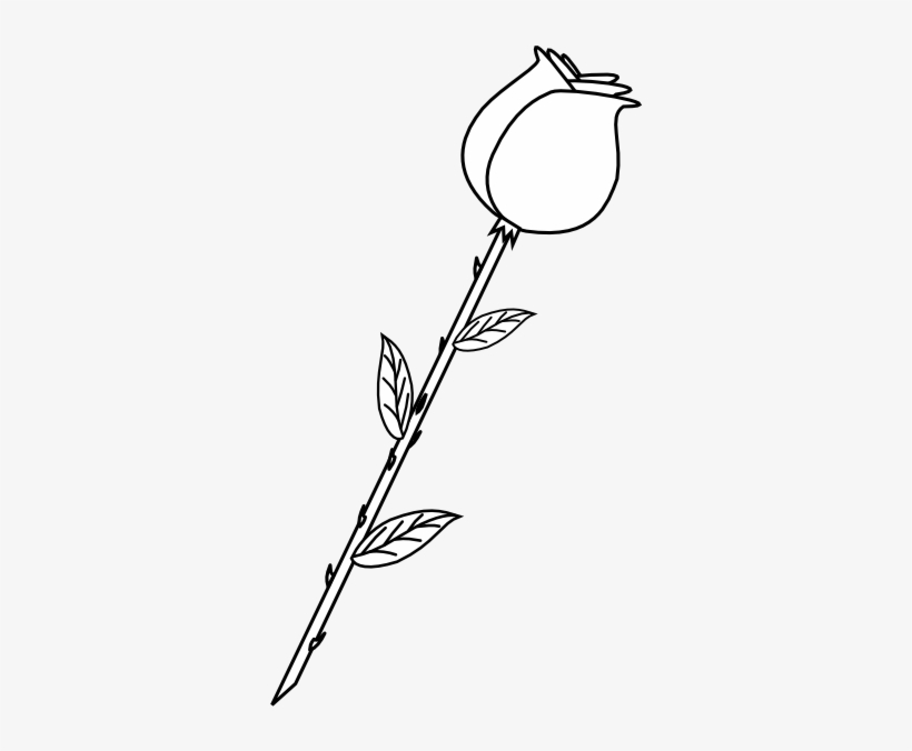 B&w Rose Png - Free Transparent PNG Download - PNGkey