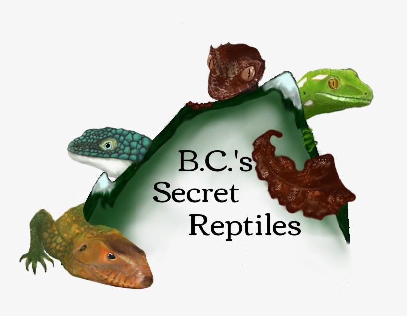 's Secret Reptiles Logotwo - Reptile - Free Transparent PNG Download ...