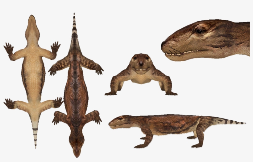 Thrinaxodon Original - Cynodont Reptiles - Free Transparent PNG ...