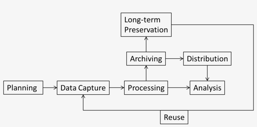 Flowchart - Flowchart Of Statistical Consulting - Free Transparent PNG ...