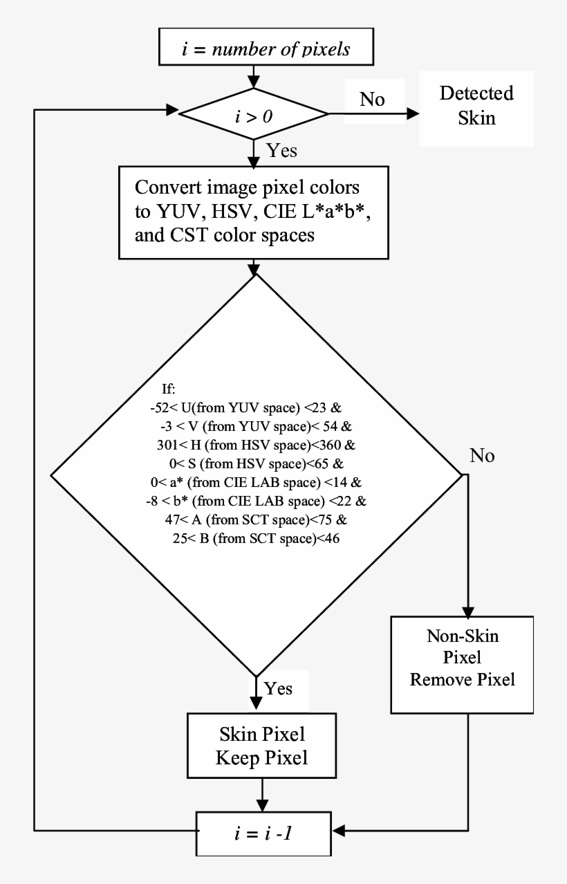 Skin Detection Classifier Flow Chart - Diagram - Free Transparent PNG ...