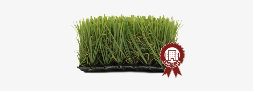 Césped Artificial Master 35mm Especialmente Indicado - Artificial Turf ...