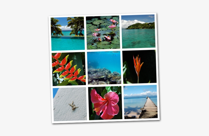 8" X 8" Collage - Creative Arts - Free Transparent PNG Download - PNGkey