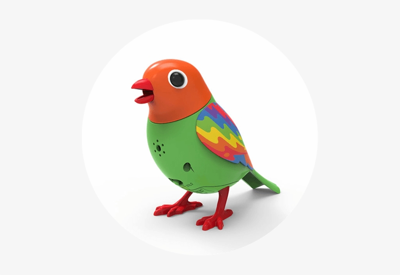 Raindrop4 - Digibirds Gif - Free Transparent PNG Download - PNGkey