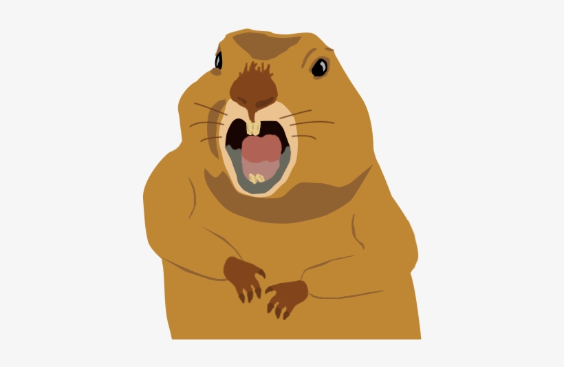 59kib, 580x580, Pocketgopher - Gopher Png - Free Transparent PNG ...